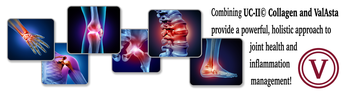UC-II® Collagen – ValAsta LLC