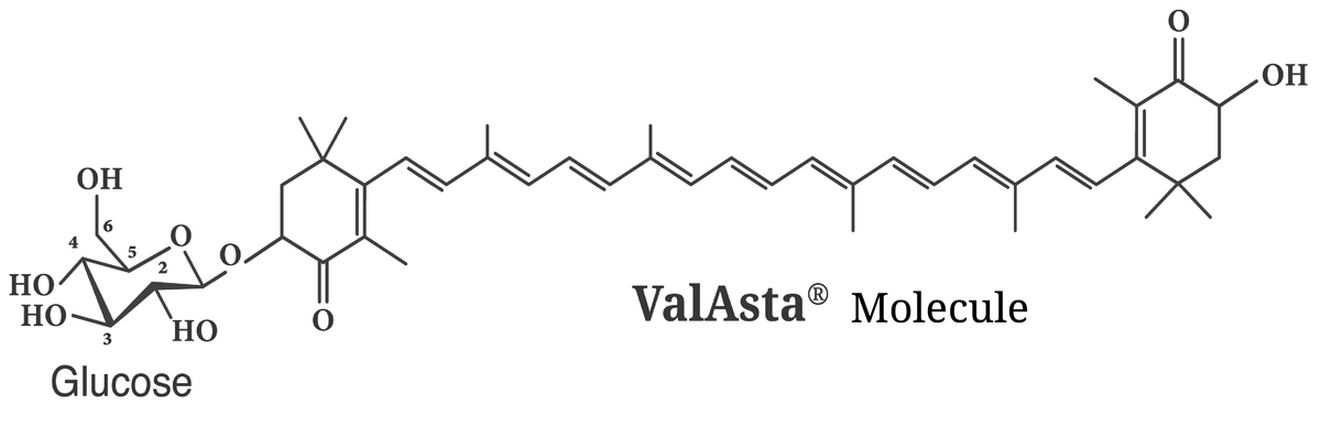 Antioxidant Activity of Astaxanthin – ValAsta LLC