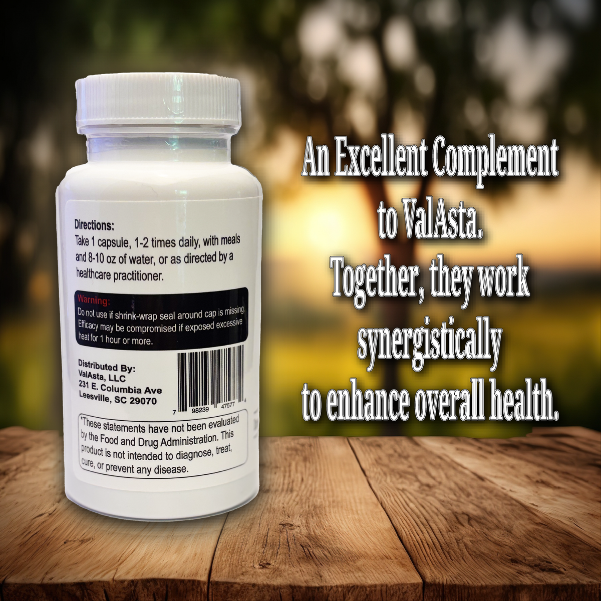 Zinc - 60 Capsules – ValAsta LLC